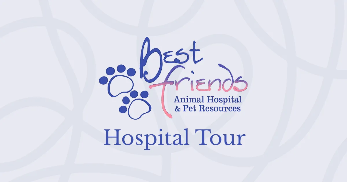 Hospital Tour - Best Friends Animal Hospital